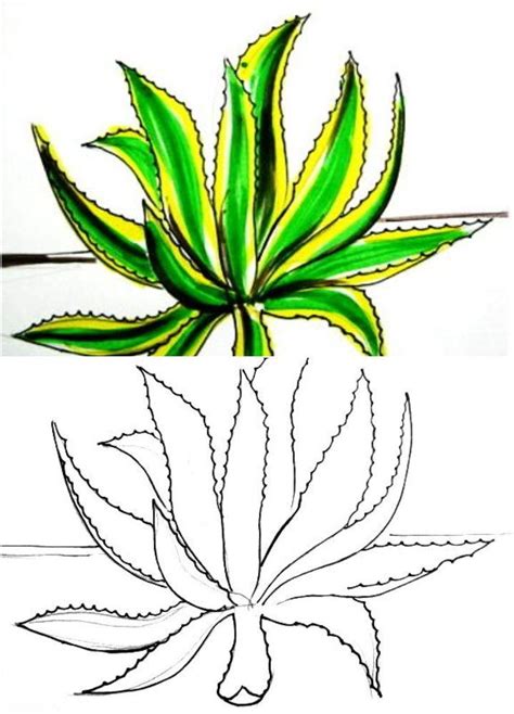 30 Easy Plant Drawing Ideas How To Draw A Plant