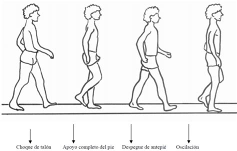 Guía completa de la biomecánica de la marcha análisis y terapia Pmedic