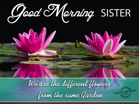 Good Morning Wishes For Sister Good Morning Pictures