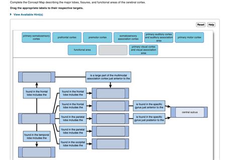 Solved Complete The Concept Map Describing The Major Lo