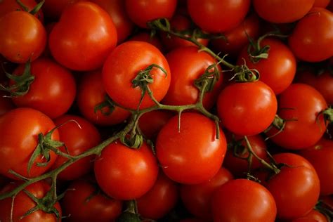 Pomidory W Ogrodzie Odmiany Wysiew I Uprawa Gardenowo