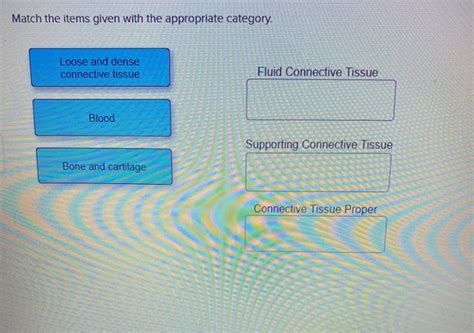 Solved Match The Items Given With The Appropriate Category Chegg