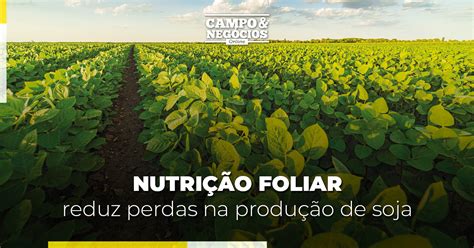 Nutrição foliar reduz perdas na produção de soja Revista Campo Negócios