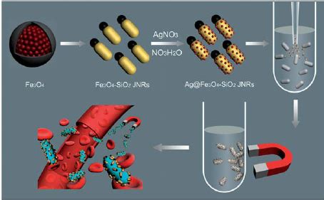 Schematic Illustration Of A Typical Procedure For The In Situ Synthesis