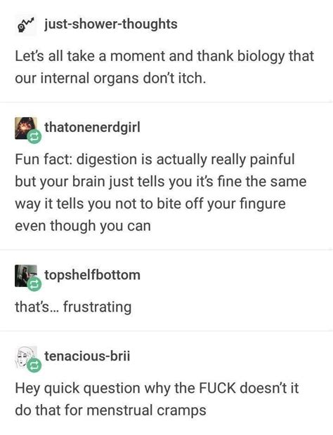 Pin By Maria Thibodeaux On Funny Things In 2024 Funny Tumblr Posts