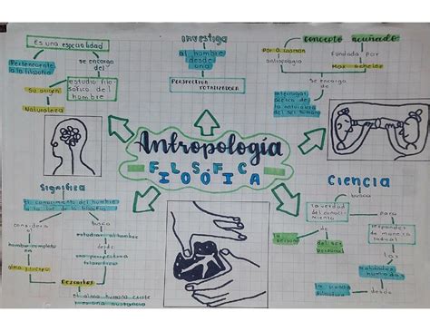 Mapa 1 Mapa Conceptual Del Concepto De Antropologia Antropologia
