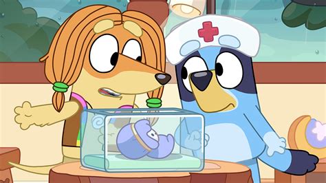 Bluey Every Episode Ever ABC Iview