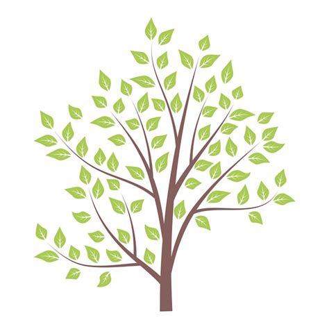 Árbol verde aislado sobre fondo blanco Vector Premium