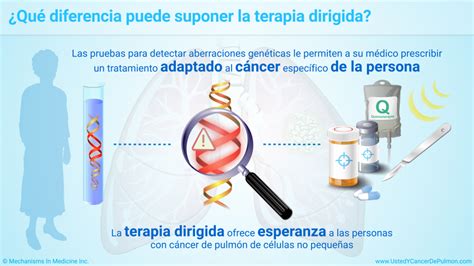 Presentaci N De Diapositivas Terapia Dirigida En El C Ncer De Pulm N