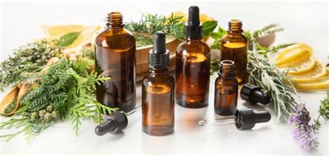 Aromatherapy And Massage Therapists Guide To Using Essential Oils