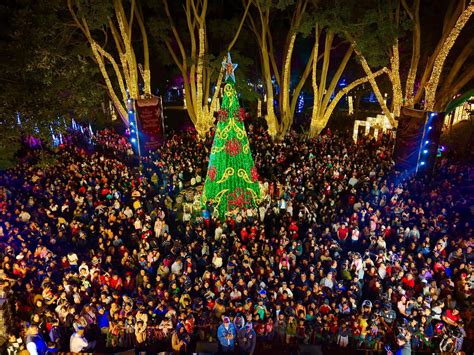 Más de 600 mil personas asistieron al Bosque Encantado de la Esperanza