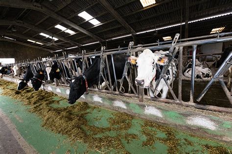 Desarrollo Rural amplía el plazo para solicitar las ayudas para la