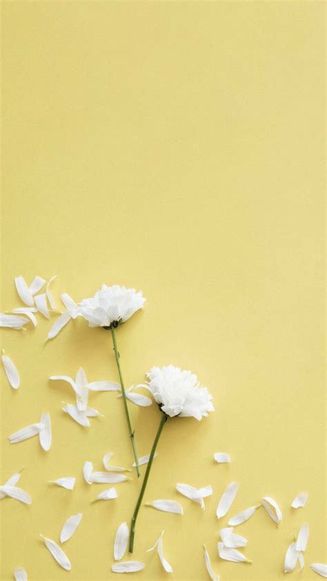 Background Bunga Aesthetic Pinterest Polish Your Personal Project Or