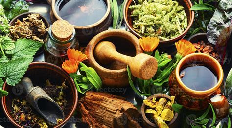 Various Kinds Of Medicinal Plants Stock Photo At Vecteezy