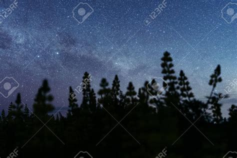 Los Altramuces Engordan Por La Noche Mito O Realidad Todo Engorda