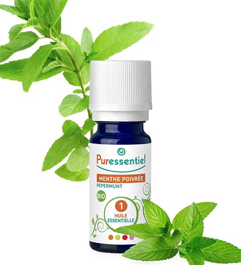 PURESSENTIEL HUILE ESSENTIELLE MENTHE POIVREE BIO 10ML Go Para