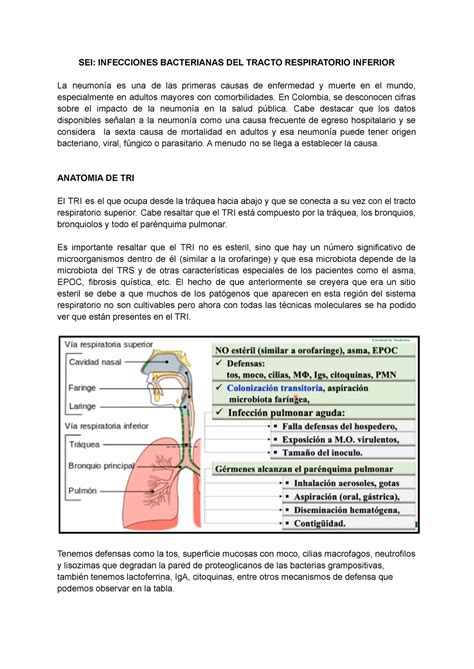 5 Infecciones De Tracto Respiratorio Inferior SEI INFECCIONES