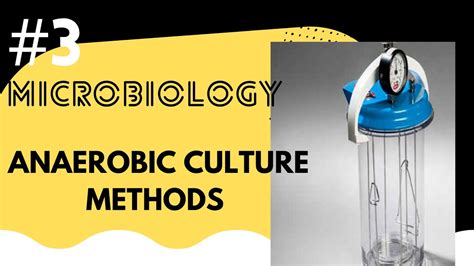 Anaerobic Culture Methods McIntosh And Filde S Anaerobic Jar Gas Pak