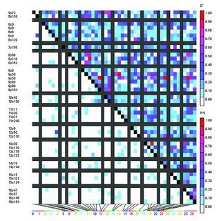 Triangle Heat Plot Showing Pairwise Value Of D And R For Different