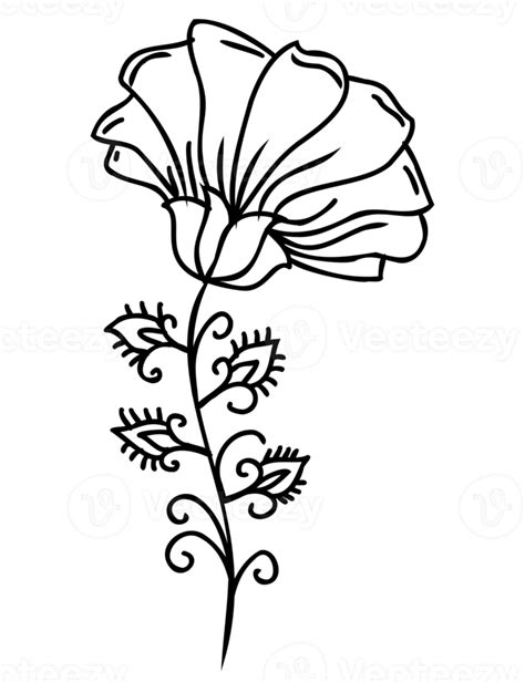 Free Dibujo De Flores De Arte Lineal Png Con Fondo Transparente The