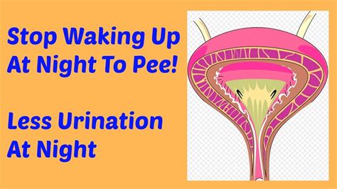 Video 2 How To Stop Peeing At Night Less Urination At Night Youtube