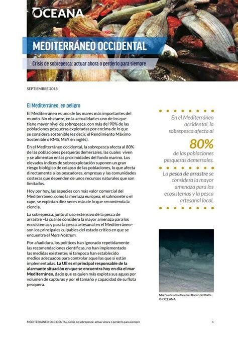 Mediterráneo occidental Crisis de sobrepesca actuar ahora o perderlo