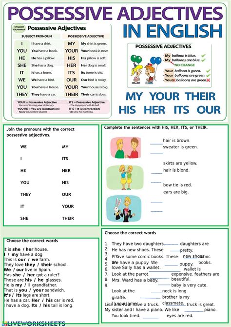 Possessives Worksheet Join The Pronouns With The Correct Possessive