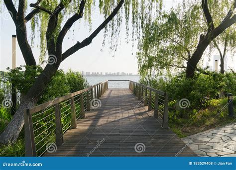 El Paisaje Del Parque Del Centro De La Ciudad Foto De Archivo Imagen