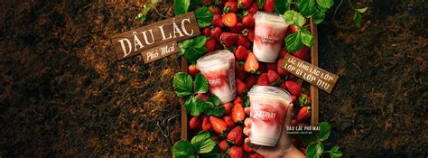 D U L C Ph Mai On Behance