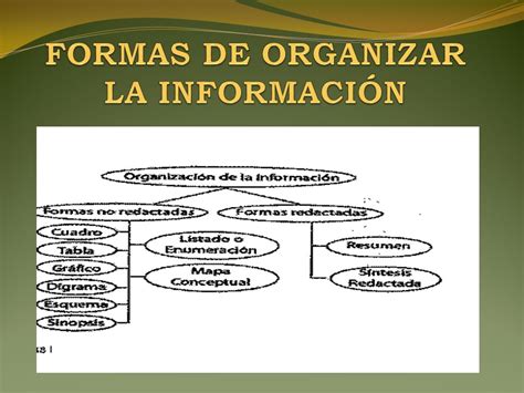 Top 57 Imagen Diagramas Para Organizar La Informacion Abzlocal Mx