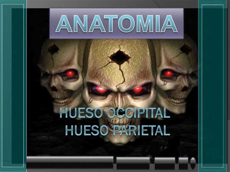 Hueso occipital Hueso temporal Peñasco Matc Terceros uDocz
