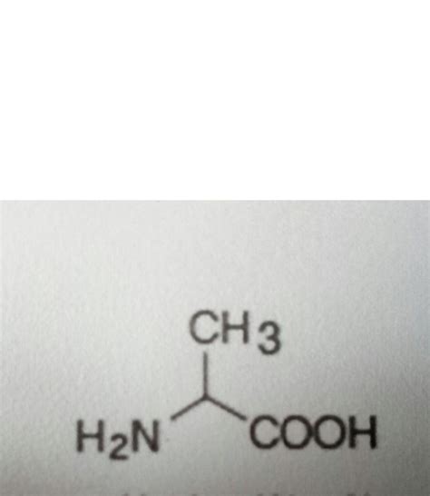 Amino Acids Flashcards Memorang