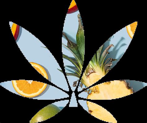 Forbidden Fruit Cannabis Strain Informationen Weed Sorten