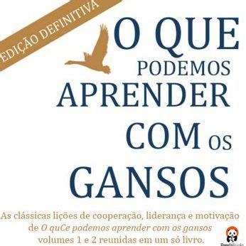 O Que Podemos Aprender Os Gansos By Alexandre Rangel