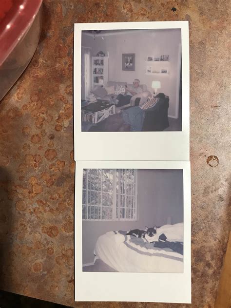 Polaroid Original Color On Old Polaroid 600 One Step Flash Photos