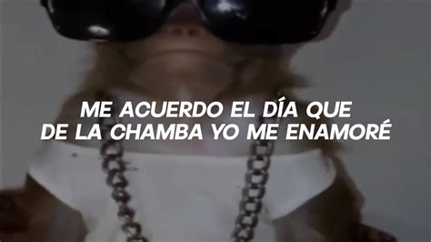 Cuando Trabaje No Dir Nada Pero Habr Se Ales Mi Primera Chamba