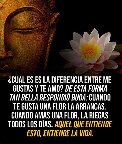 Cual Es La Diferencia Entre Me Gustas Y Te Amo De Esta Forma Tan