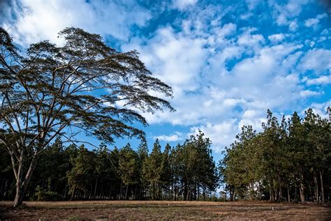 Nubes Al Aire Libre Paisaje Foto Gratis En Pixabay Pixabay