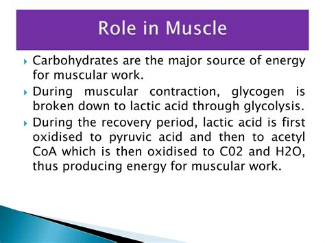 Functions Of Carbohydrates PPT