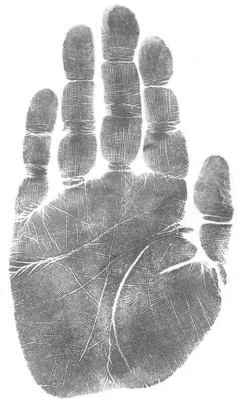 what police officers need to know about palm prints police chief magazine