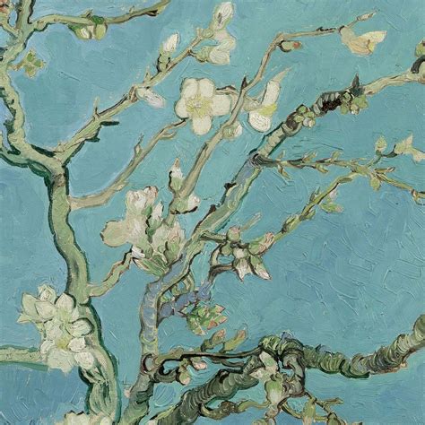 100 Van Gogh Almond Blossoms Wallpapers Wallpapers
