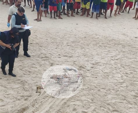 Corpo de mulher é achado em cova rasa na praia do Francês TNH1