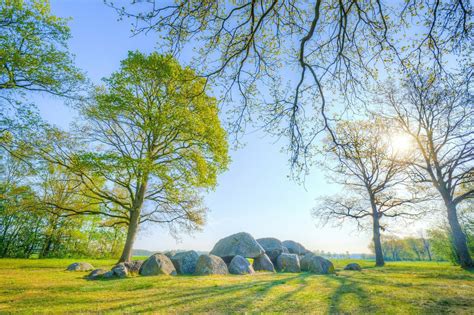 Vakantiepark Witterzomer Camping In Assen Drenthe
