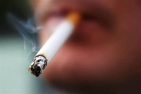 不想让弟弟抬不起头？研究：吸烟这个部位会缩水变短！ Ttn 谈谈网