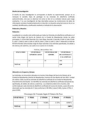 Informe De Tecnicas De Investigacion E Instrumentos PROGRAMA DE