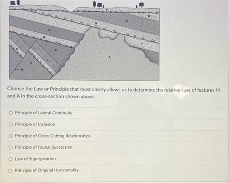 Solved Choose The Law Or Principle That Most Clearly Allows Chegg