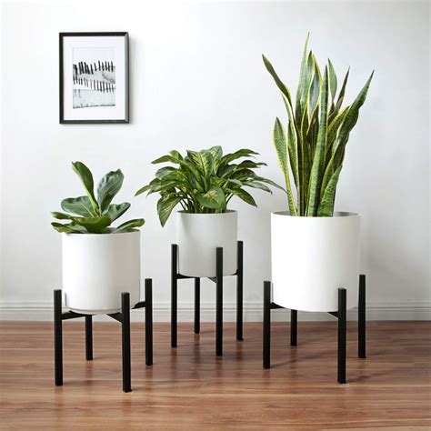 Tall Plant Stands Canada At Hermandwilson Blog