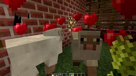 Breeding Sheep In Minecraft Everything Player Need Know