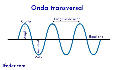 Onda transversal qué es concepto características ejemplos