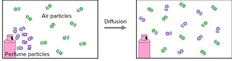 Y Science Helper Reference Page